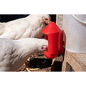 RentACoop Anti-Dirt Chicken Water Cup Covers - Compatible with Any RentACoop DIY Cups and Waterers - 6 Pack