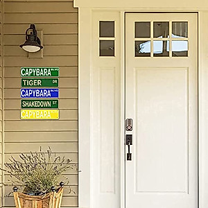 Huer Capybara BLVD Street Sign, Funny Animal Wall Decor for Home/Bedroom/Man Cave, Quality Metal Signs 16x4 Inch