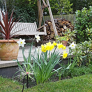 200 Pcs Drip Irrigation Emitters Drip Irrigation System Drip Irrigation Parts Adjustable 360 Degree Water Flow Fan Sprayer for 1/4 Inch 4mm/7mm Irrigation Tube Hose Patio Watering System (Red Black)