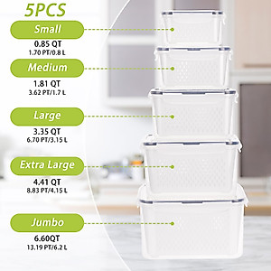 Moretoes 5pcs Fruit Containers for Fridge, Clear Berry Containers with Lid and Removable Colander Plastic Refrigerator Organizer for Food Fruits Lettuce Vegetables Berry Meat Kitchen Home