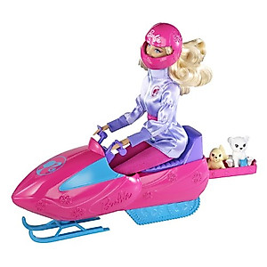 Barbie I Can Be Arctic Rescuer Playset