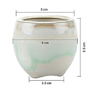 T4U Small Ceramic Succulent Pots with Drainage Set of 6, Mini Pots for Plants, Tiny Porcelain Planter, Air Plant Flower Pots Cactus Faux Plants Containers, Home and Office Decor