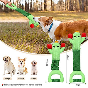 IOKHEIRA Dog Toys for Aggressive Chewers-Dog Toys for Large Dogs, Tough Durable Indestructible Dog Toys, Big Dog Chew Toys and Large Breeds (Large, Cactus)