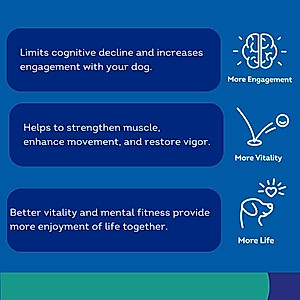 Leap Years Soft Chew Dog Supplement – Clinically Proven Daily NAD & Senolytic Formula; Support Cognition, Vitality & Healthy Cellular Aging; Beef Flavor (Large Breed (55-76 lbs))