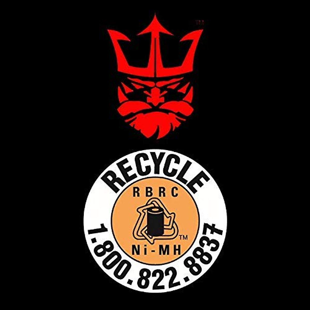 Neptune Power Replacement Battery for Razor E125 Version 16-37 & Razor E150 Version 1-5 with F1 Terminals - 2 Pack (Batteries Only)