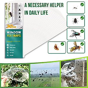 30 Pack Fruit Fly Traps Indoor, Non-Toxic Window Fly Trap Catcher Clear Trap for Home, Flies Traps Kitchen, Paper Sticky Strips, Flying Insect Traps for Bugs Mosquito Gnat, Lady Bug Killer Traps