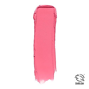 COVERGIRL COVERGIRL Outlast Ultimatte One Step Liquid Lip Color, Strawberry Spritzer, Strawberry Spritzer, 0.12 Fl Ounce