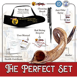 ProShofar Israel Shofar Set, Natural Kudu Horn Shofar, Kosher Shofar Yemenite Traditional Musical Instrument for Jewish Spiritual Ceremonies and Religious Sermons, Made in Israel