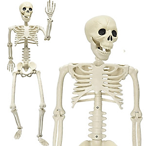36" Halloween Skeleton Decoration, 3FT Realistic Human Full Body Movable Posable Joints Skeleton, Plastic Human Bones Body Prop for Halloween Haunted House Graveyard Indoor/Outdoor Decor