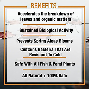 MICROBE-LIFT AUTPREP Autumn and Winter Prep Seasonal Conditioner for Ponds and Outdoor Water Gardens, Safe for Live Koi Fish, Plants, and Decor, 32 Ounce Liquid and 4 2-Ounce Packets
