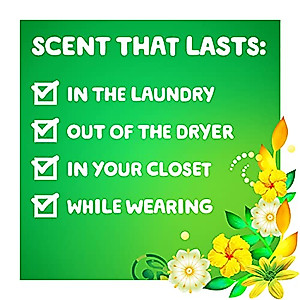 Gain flings! Liquid Laundry Detergent Soap Pacs, HE Compatible, 3 Bag Value Pack, 111 Count, Long Lasting Scent, Original Scent