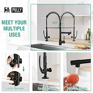 Fapully Black Kitchen Faucet,Commercial Pull Down Kitchen Sink Faucet with Sprayer