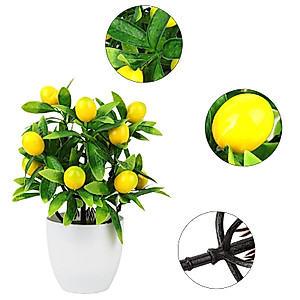 Comanlai 9.65 inch Artificial Mini Potted Plants, Artificial Fruit Lemon Tree Bonsai Fake Greenery White Plastic Pot, Potted Plants Kumquat for Home Table Desk Office Balcony Garden Decor