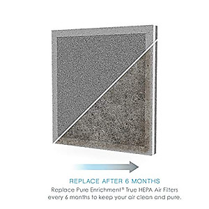 Pure Enrichment Genuine 3-in-1 True HEPA Replacement Filter for the PureZone Air Purifier - 2 Pack (PEAIRPLG)