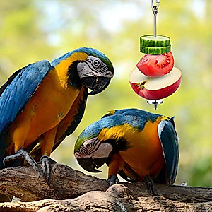 2 Pack Stainless Steel Parrot Fruit Vegetable Stick Holder 12 / 20 cmBird Skewers Foraging Toy Hanging Food Bird Treat Skewerfor Hens Fowl Chickens Cockatoo Cockatiel