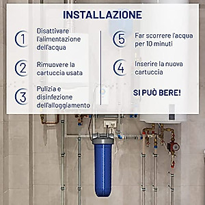 Pentair Pentek ECP5-BB Big Blue Sediment Water Filter, 10-Inch, Whole House Heavy Duty Pleated Cellulose Polyester Replacement Cartridge, 10" x 4.5", White End-Cap, 5 Micron, Pack of 8