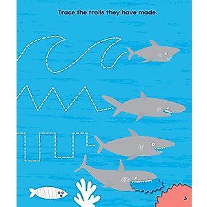 Big Wipe Clean Tracing and Pen Control Activity Book for Kids Ages 3 to 5 (Start Little Learn Big Series)