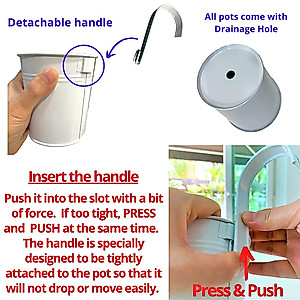 ShopLaLa Bundle - 4 Inch White Metal Flower Pots + Wooden Plant Holder, Vertical Garden Planter, Live Plant Wall System Outdoor Wall Mounted Planter, Hanging Herbs Planters, Green Wall Decoration