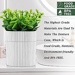 Denture Bath, Invisible Denture Case Designed As Artificial Eucalyptus Potted Plants, Denture Cup With Strainer For Retainer, Mouth Guard & Dentures, Perfect For Home Decoration…