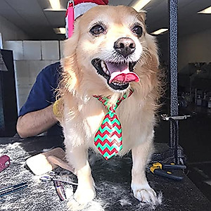 JpGdn 20PCS Christmas Small Dog Neckties Xmas Ties Bulk for Small Medium Girl Boy Puppy Doggy Kitten Bunny Rabbit Adjustable Pet Ties Grooming Costumes Accessories for Festival Holiday