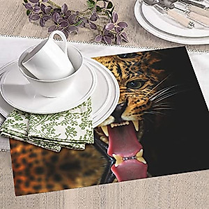 Leopard Printed Drying Mat For Kitchen Ultra Absorbent Microfiber Dishes Drainer Mats Non-Slip Silicone Quick Dry Pad - 18 X 16inch