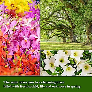 Father's Day Gifts from Wife Son Daughter Father's Day Gifts for Dad Men Birthday Gift Ideas Gag Unique Cool Gifts for Dads Step Dad Bonus Dad New Dad Gifts Funny Fathers Day Candle for Men