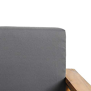 Christopher Knight Home Eudora Outdoor Acacia Wood Club Chair (Set of 2), Teak and Dark Gray