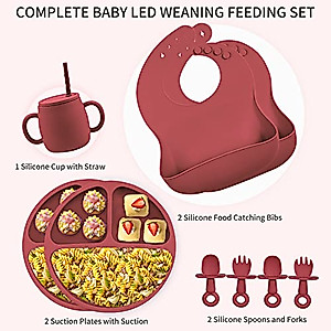 Baby Feeding Supplies - Led Weaning Silicone Baby Feeding Set, Baby Plates with Suction, Toddler Sippy Cups, First Stage Self Feeding Utensils Dishes Set with Bibs, Baby Spoons and Forks, 9 Pieces