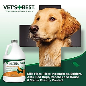 Vet's Best Flea and Tick Home Spray | Flea Treatment for Dogs and Home | Flea Killer with Certified Natural Oils | 96 Ounces Refill