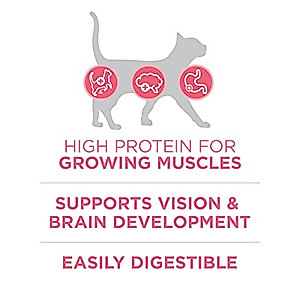 Purina ONE High Protein, Natural Dry Kitten Food, +Plus Healthy Kitten Formula - 7 lb. Bag
