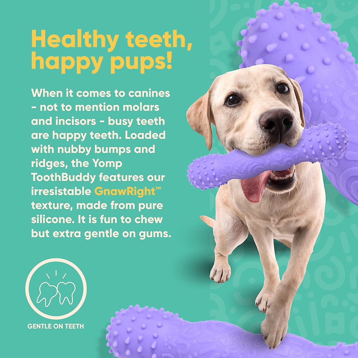 Yomp ToothBuddy Dog Dental Chew Toy - Dog Teething Toy for Soft & Medium Chewers - Dog Toy Bone - Chewing Toy for Dogs - Pet-Safe, Non-Toxic Silicone Dog Toy