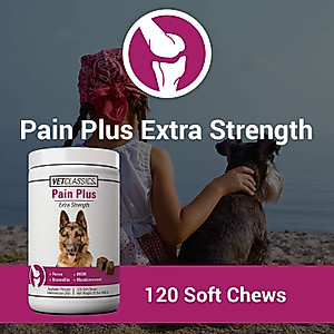 Vet Classics Pain Plus Extra Strength Health Supplement for Dogs - 120 Soft Chews