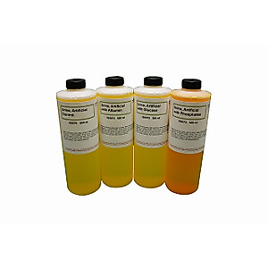 ALDON Innovating Science - Understanding Urinalysis - Demonstration of Urinalysis Techniques - Set of 4: Control, Albumin, Glucose, Phosphates- Cannot be Used for Drug Test Evasion