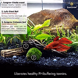 SunGrow Cholla Wood, 5” Climbing Logs, Chew Toy, Aquarium Fish, Snail & Shrimp Driftwood, Décor Adds Raw Beauty, 3 Pack