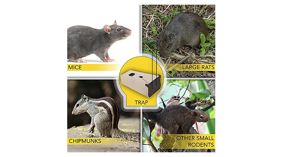 Harris Humane Animal Catch and Release Trap for Rodents