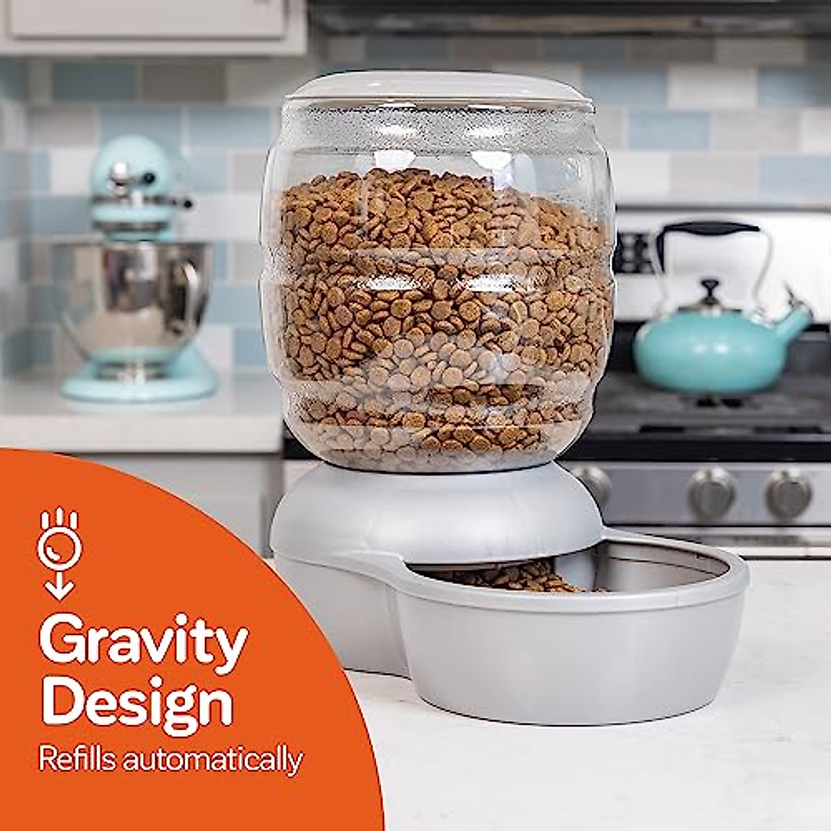 Petmate 24528 Replendish Feeder Automatic Cat and Dog Feeder, Pearl Peacock Blue, 10 LB