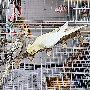 2 Pack Bird Ladder, Bird Perch Stand, Natural Prickly Ash Wood Bird Parrot Cage Accessories, Bird Standing Climbing Chewing Toys for Parakeet Cockatiel Rats Hamsters