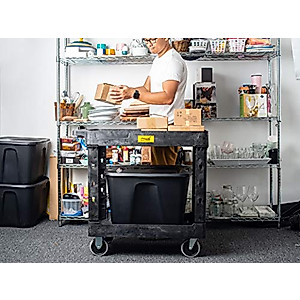 550lb Capacity Heavy Duty Plastic Utility Cart 34-1/2" L x 16-3/4" W with Handle 2 Shelves Pake Handling Tools