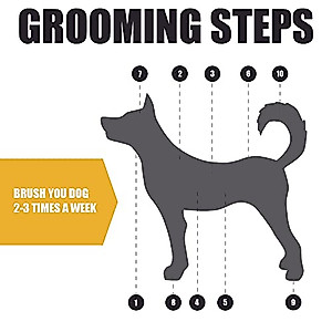 BV Dog Brush and Cat Brush, Pet Grooming Comb, 2 Sided Bristle and Pin for Long and Short Hair Dog, Removing Shedding Hair