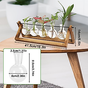 Plant Terrarium, Plant Propagation Stations with Wooden Stand, Gift for Women, Office Decoration - 5 Bulb Vase
