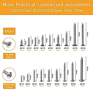 Self Tapping Screws Assortment Fasteners Set, 650pcs 304 Stainless Steel M3/M4/M5/M6 Sheet Metal Screws Kit with Storage Box,Phillips Drive Wood Screw Assortment