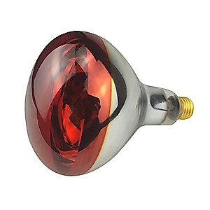 BONGBADA Heat Lamp Bulb R40 250 Watt 2 Pack Painted Red Infrared Glass Lamp Bulb for Food Service, Brooder Bulb, Chicks, Pet, Bathroom (Red Painted-1.0 Version, R40/250W)