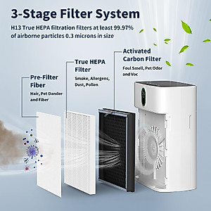 HY4866 Replacement Filter for MORENTO HY4866 Air Puri fier and YIOU M1 Air Puri fier, 4 Pack with 4 Extra Pre-filter, Enhanced Version