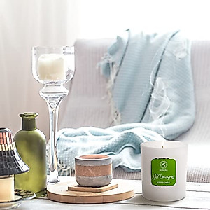 Scented Candle Wild Lemongrass - Soywax Candle with Essential Oil - Aromatherapy Candle - Up to 45 Hours Burn Time - Glass Candle Gift - Luxury and Sensual Soy Wax Candle