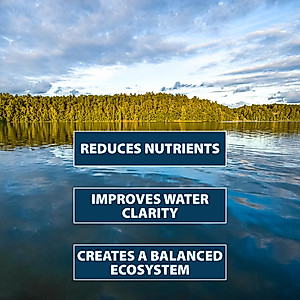 Airmax PondClear Packets, Beneficial Bacteria & Enzyme Clarifier Treatment with Ecoboost PRx, Clear & Clean Pond & Lake Water, Safe for Fish, 12 Count