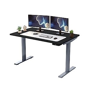 Rise UP Dual Motor Electric Standing Desk 48x30 Black Desktop Premium Ergonomic Adjustable Height sit Stand up Home Office Computer Desk Table Motorized Powered Modern Furniture Small Standup Table