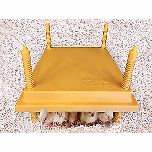 Titan Incubators Chick Heating Plate/Brooder Hen – Heat Lamp Replacement - Up to 25 Chicks – 12” x 12”
