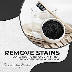 Activated Charcoal Powder with Bamboo Toothbrush for Teeth Whitening | Made in USA | Teeth Stain Remover | Safe for Gums & Enamel | Natural Toothpaste with Vegan Coconut Charcoal & Bentonite Clay