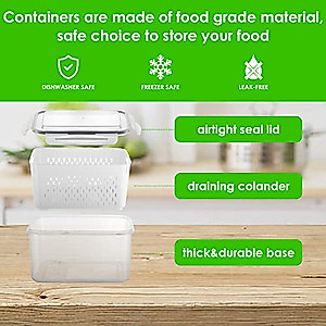 G · PEH Fruit Storage Containers for Fridge Fresh Container with Filterable Basket & Airtight Lid Vegetable and Fruit Saver Containers Refrigerator Organizer for Fruit Salad Lettuce Berry Meat
