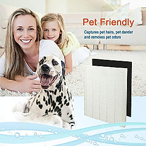 Flintar C545 True HEPA Replacement Filter S, Compatible with Winix C545 Air Purifier, Compares to Winix S Filter 1712-0096-00, 1 H13 Grade True HEPA + 4 Activated Carbon Filters